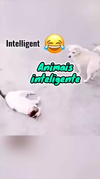 quarter intelligent meme
