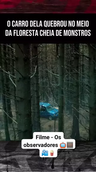 filme observador:filme - os observadores