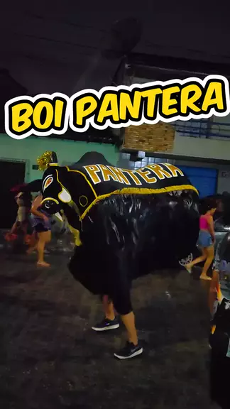 bumba meu boi de matraca:
