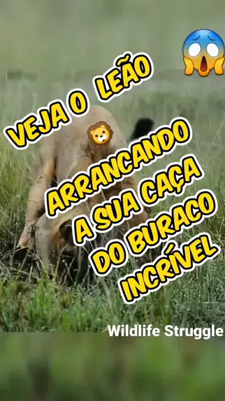 the real caca girl leak