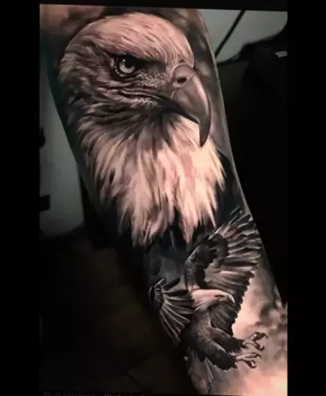 águia Tatto Discover