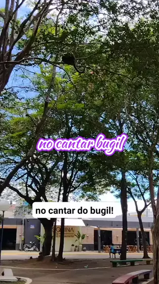 ai vicidior bugil & vici dior bugil ai| Discover