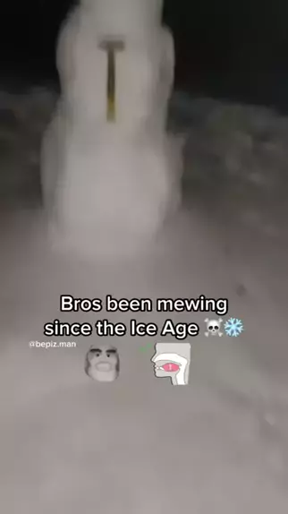 meme kucing mewing & the mewing meme| Discover