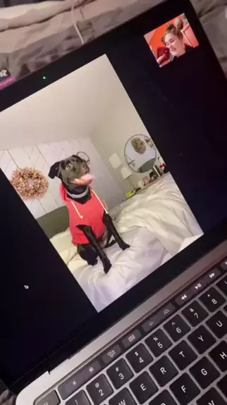 inky 888 videos & inky.888 videos| Discover