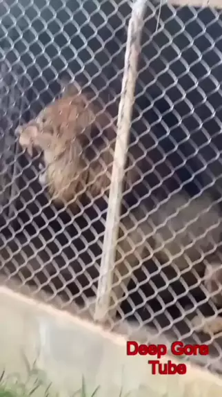 deep gore tube