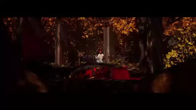 dood+ocil | Discover